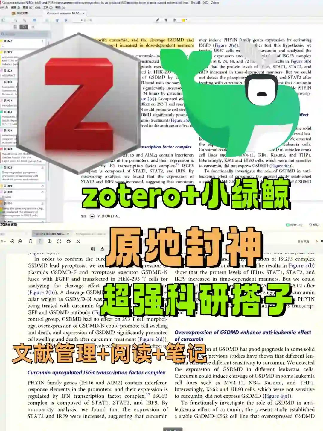zotero和小绿鲸|后悔没早用的文献阅读神器-夜雨聆风