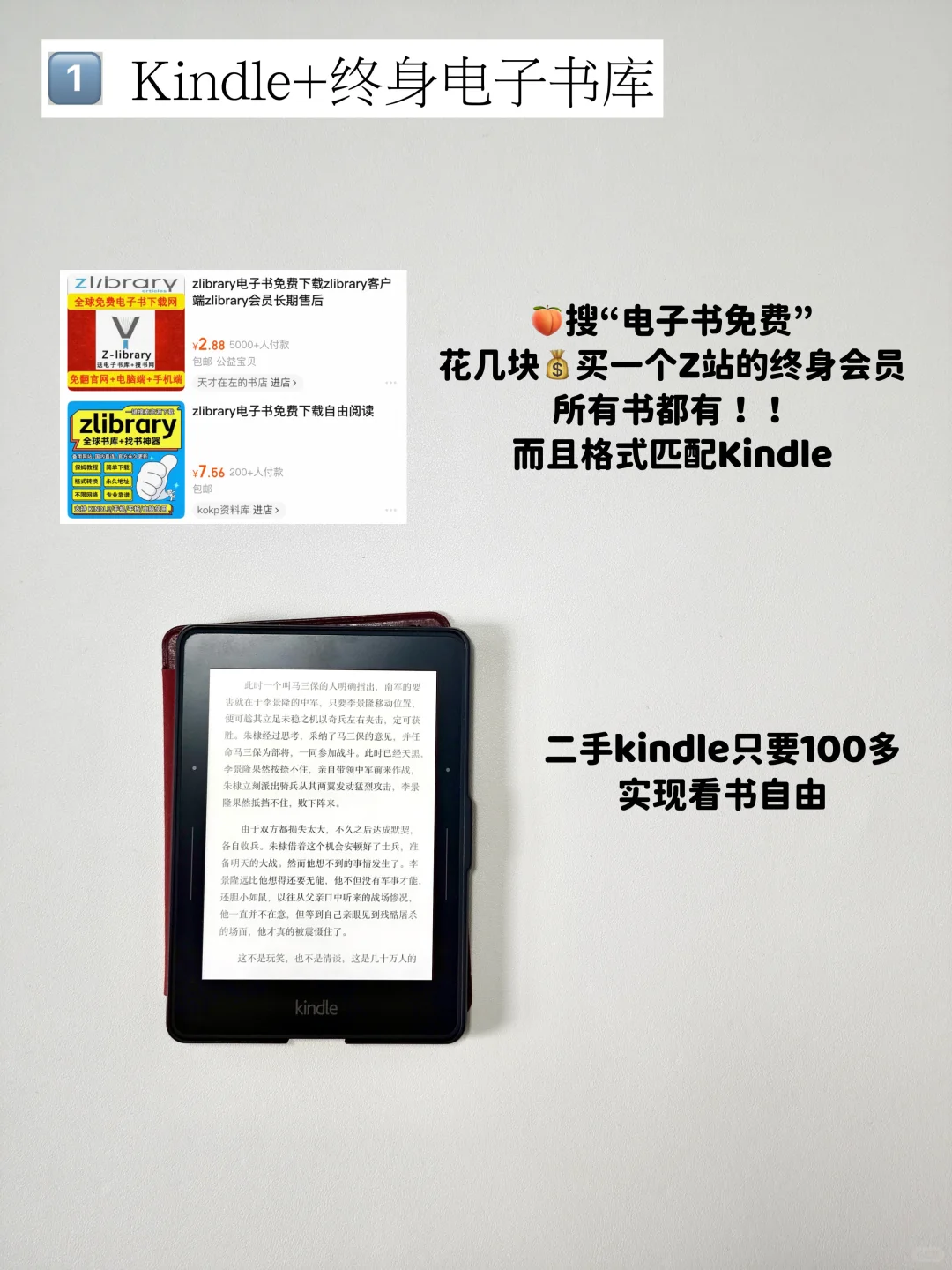 100元内的终身快乐